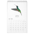 Hummingbird Calendar | Zazzle