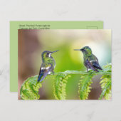 Hummingbird Couple on a Leaf Postcard | Zazzle
