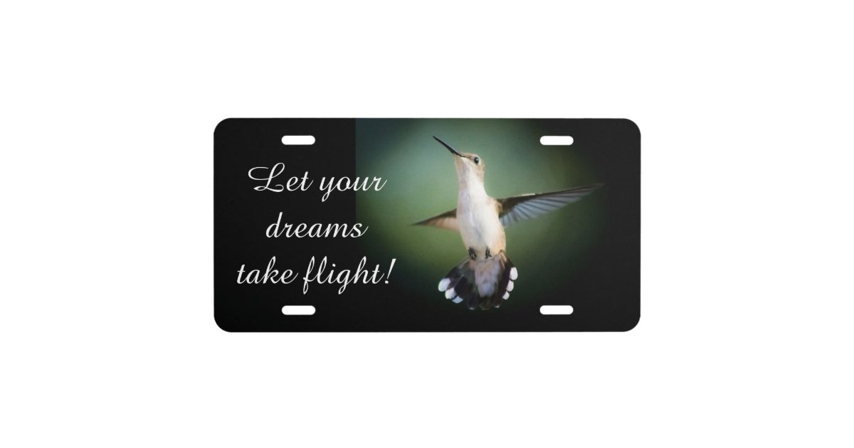 Hummingbird Dreams License Plate | Zazzle