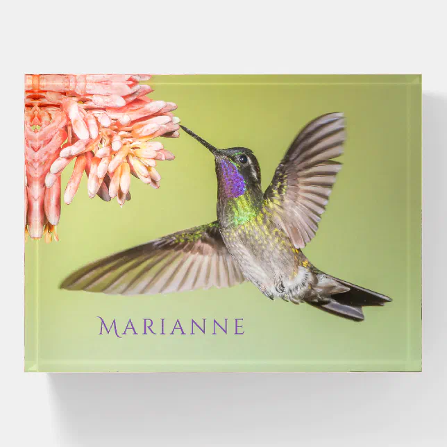 Hummingbird Flying Personalized Paperweight | Zazzle