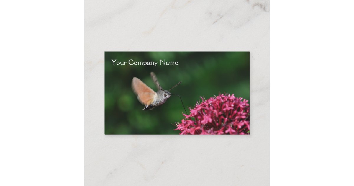 Hummingbird hawk-moth business card | Zazzle
