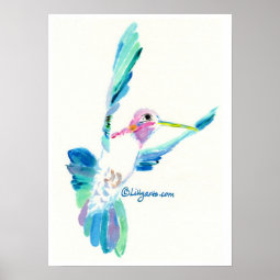 Hummingbird Hover Print and Poster | Zazzle