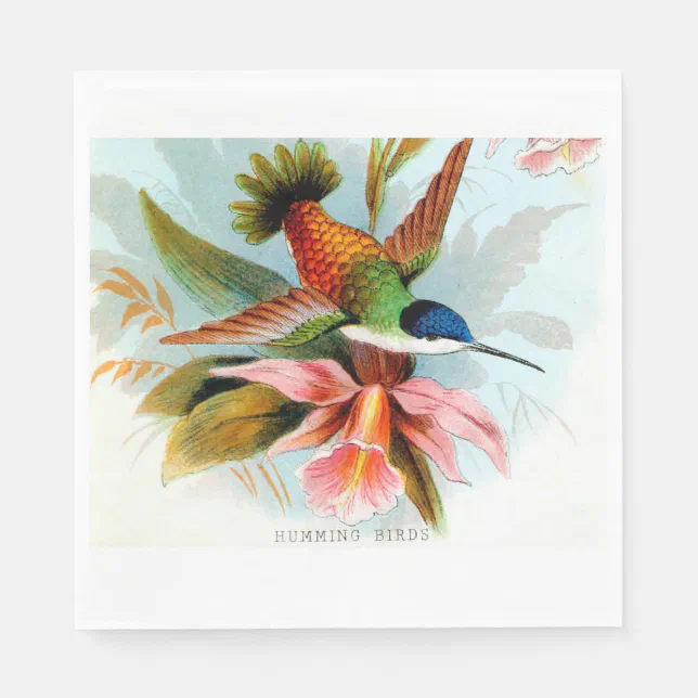 Hummingbird Luncheon Napkins | Zazzle