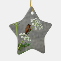 Hummingbird on Queen Ann's lace flower Ceramic Ornament | Zazzle
