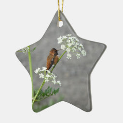Hummingbird on Queen Ann's lace flower Ceramic Ornament | Zazzle