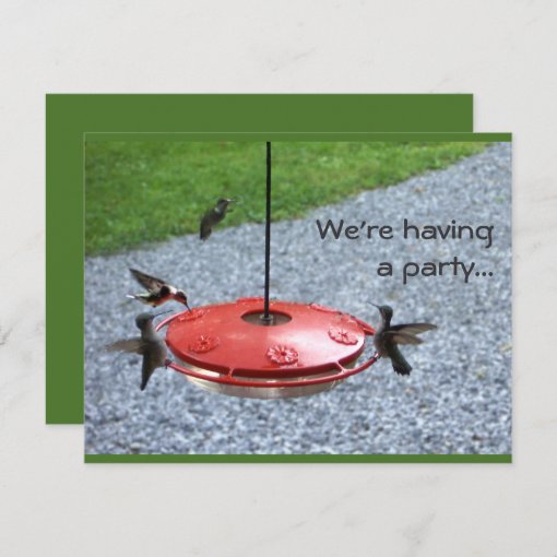 Hummingbird party invitation | Zazzle