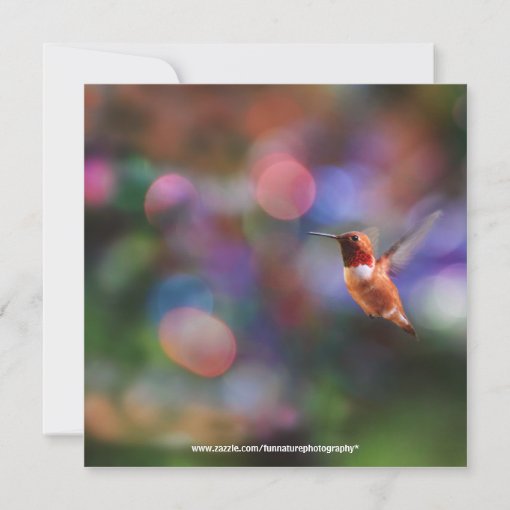 Hummingbird Party Invitations | Zazzle