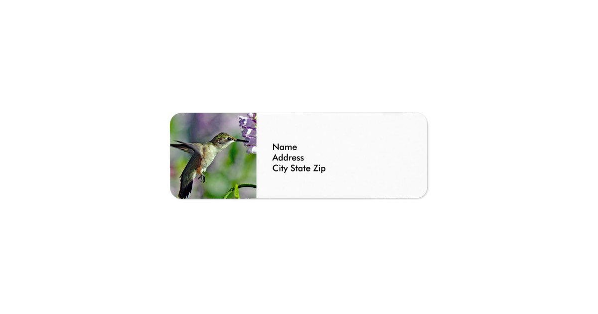 Hummingbird Pink Floral Wildlife Photo Label | Zazzle