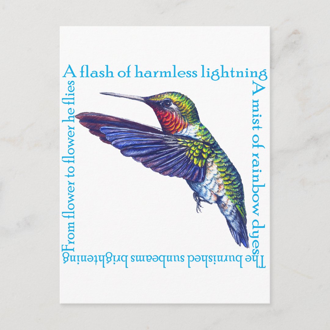 Hummingbird Poem Postcard | Zazzle