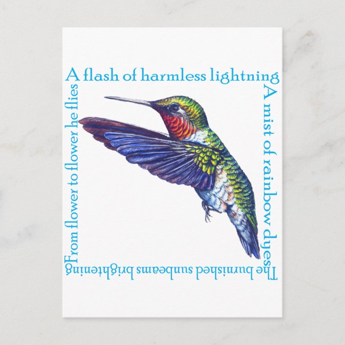Hummingbird Poem Postcard | Zazzle