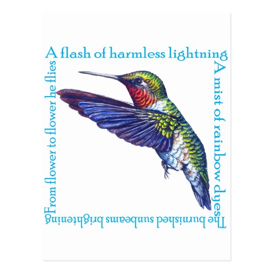 Hummingbird Poem Postcard | Zazzle.com