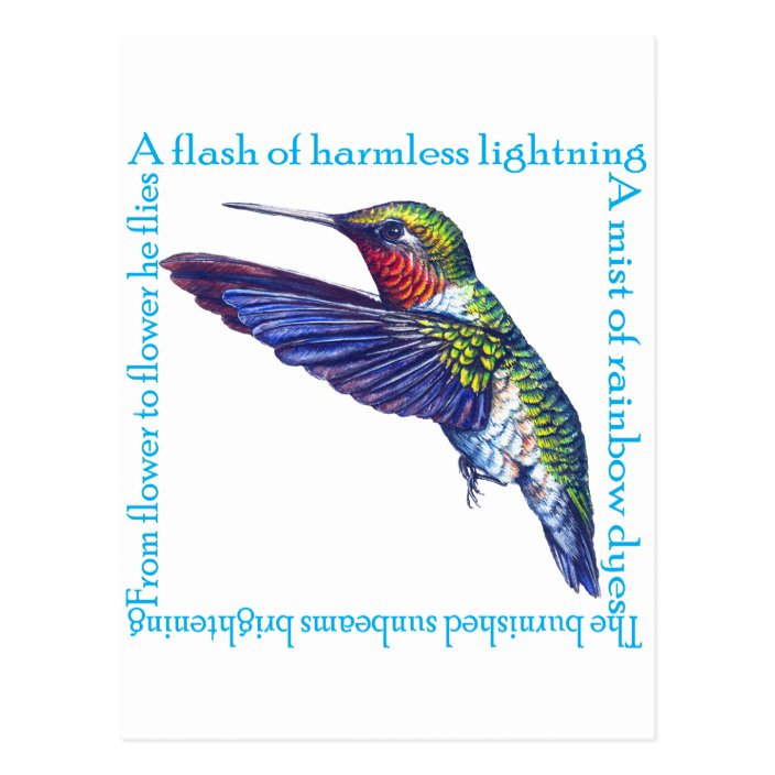 Hummingbird Poem Postcard | Zazzle.com