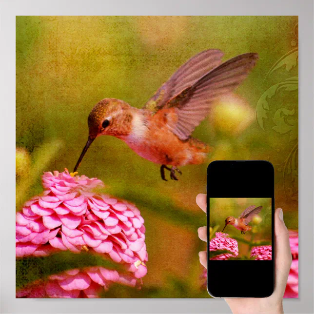 Hummingbird Poster | Zazzle