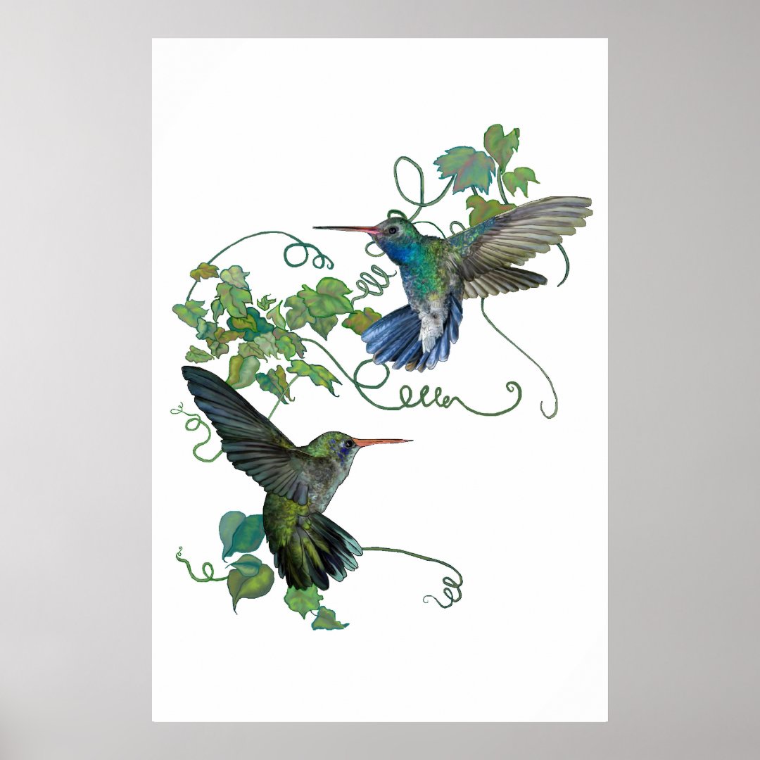 Hummingbird Poster | Zazzle