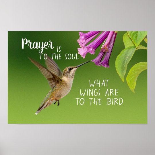 Hummingbird Prayer is to the Soul Poster | Zazzle.com