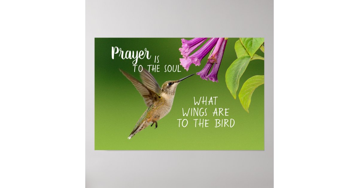 Hummingbird Prayer is to the Soul Poster | Zazzle