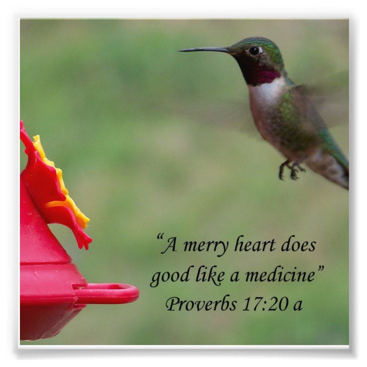Hummingbird Proverbs 17:20 Bible Verse Photograph | Zazzle