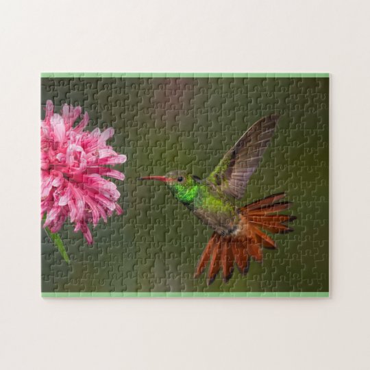 Hummingbird puzzle | Zazzle.com