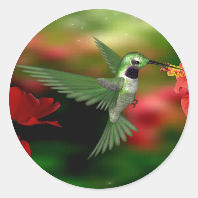 Hummingbird sticker | Zazzle