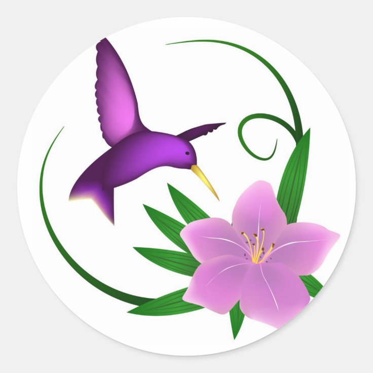 'Hummingbird' stickers | Zazzle