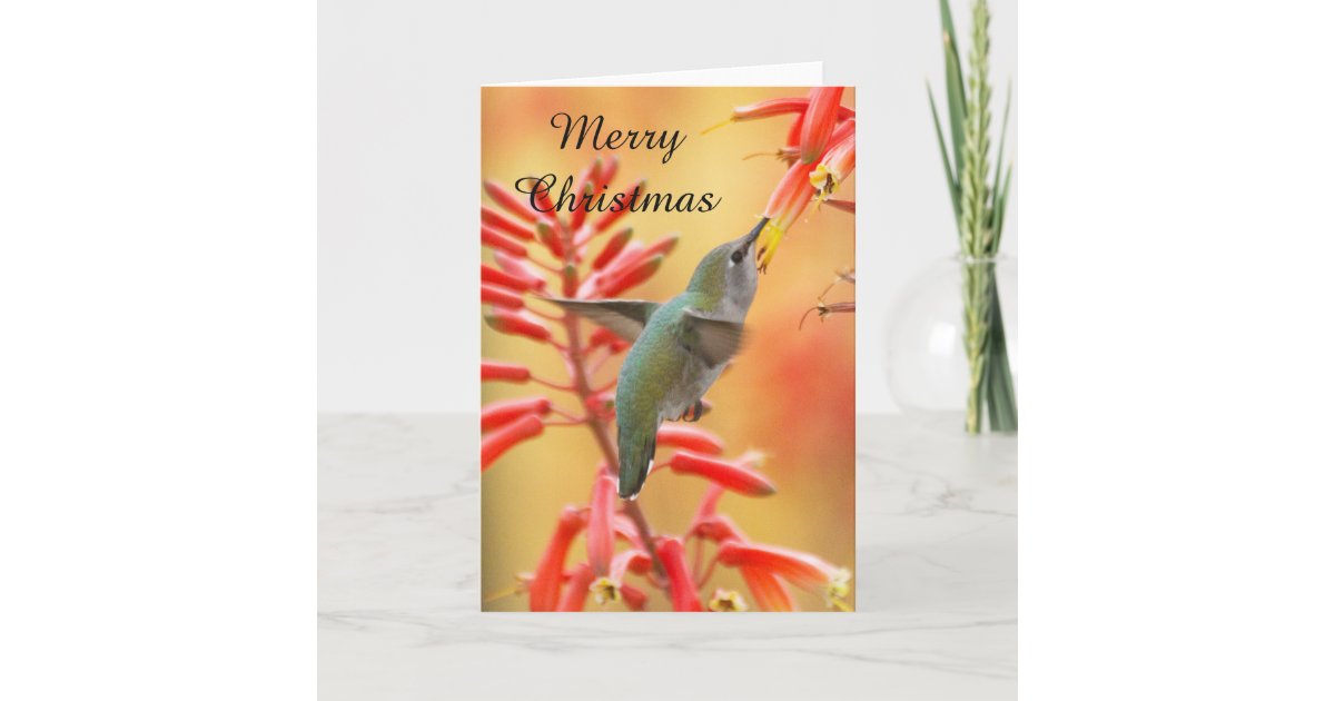 Hummingbird surrounded by yucca, Merry Christmas Holiday Card | Zazzle