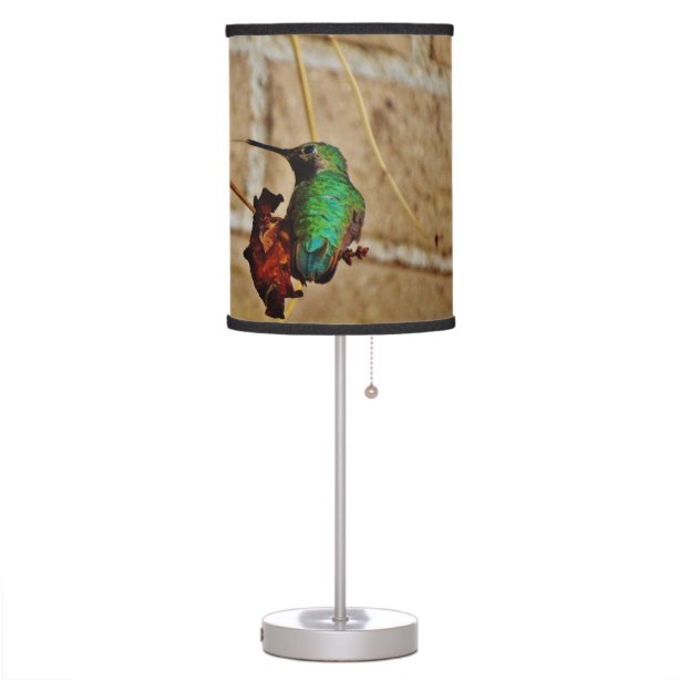Hummingbird Table & Pendant Lamps | Zazzle