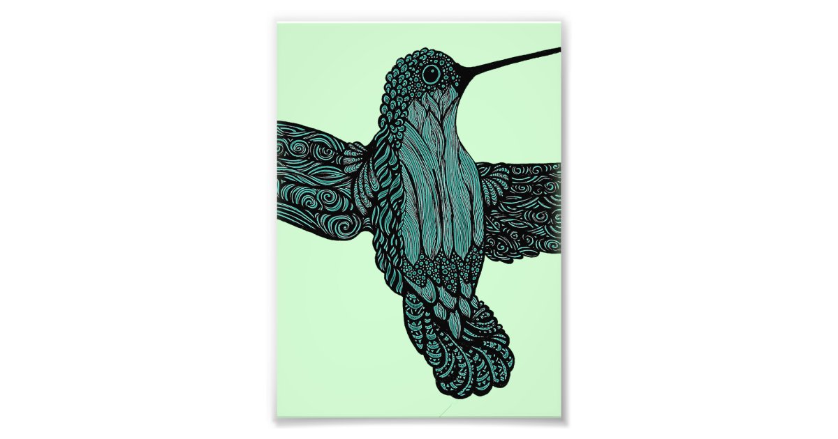 Hummingbird - Teal Photo Print | Zazzle