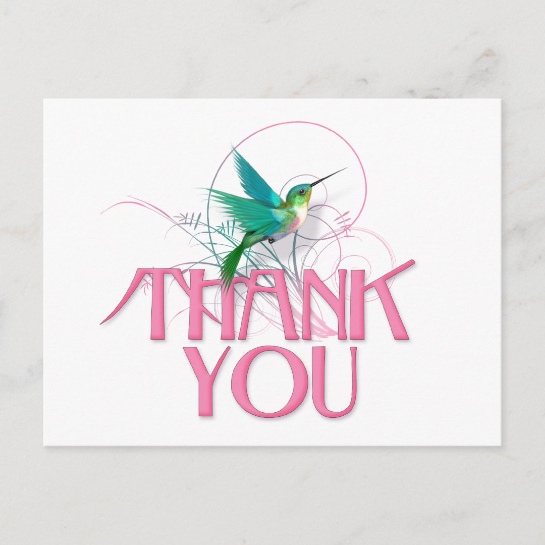 Hummingbird Thank You Postcard | Zazzle