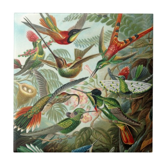 Hummingbird Tile | Zazzle.com