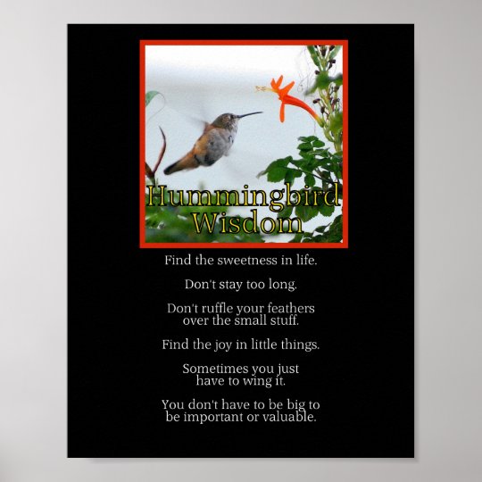 Hummingbird Wisdom Poster | Zazzle.com