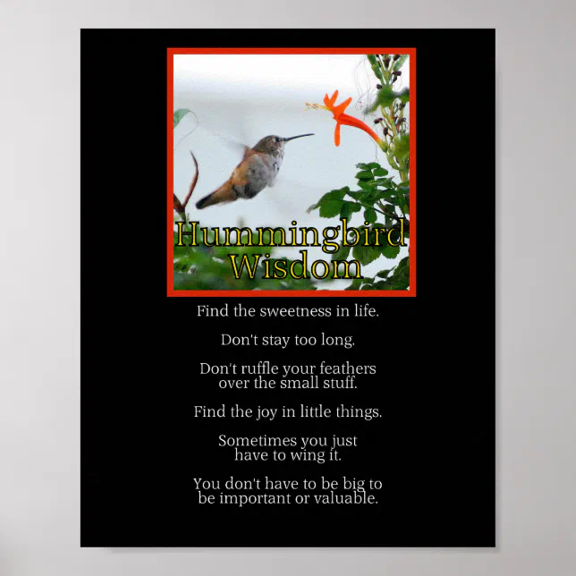 Hummingbird Wisdom Poster | Zazzle