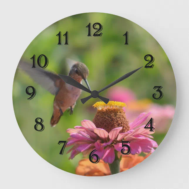 Hummingbird with Zinnia Flower Large Clock | Zazzle