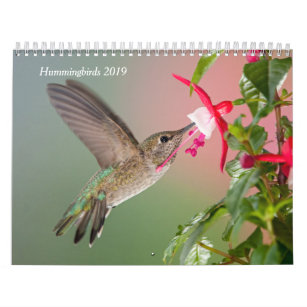 Hummingbird Calendars | Zazzle