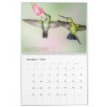 Hummingbirds 2020 Beautiful Photo Calendar | Zazzle