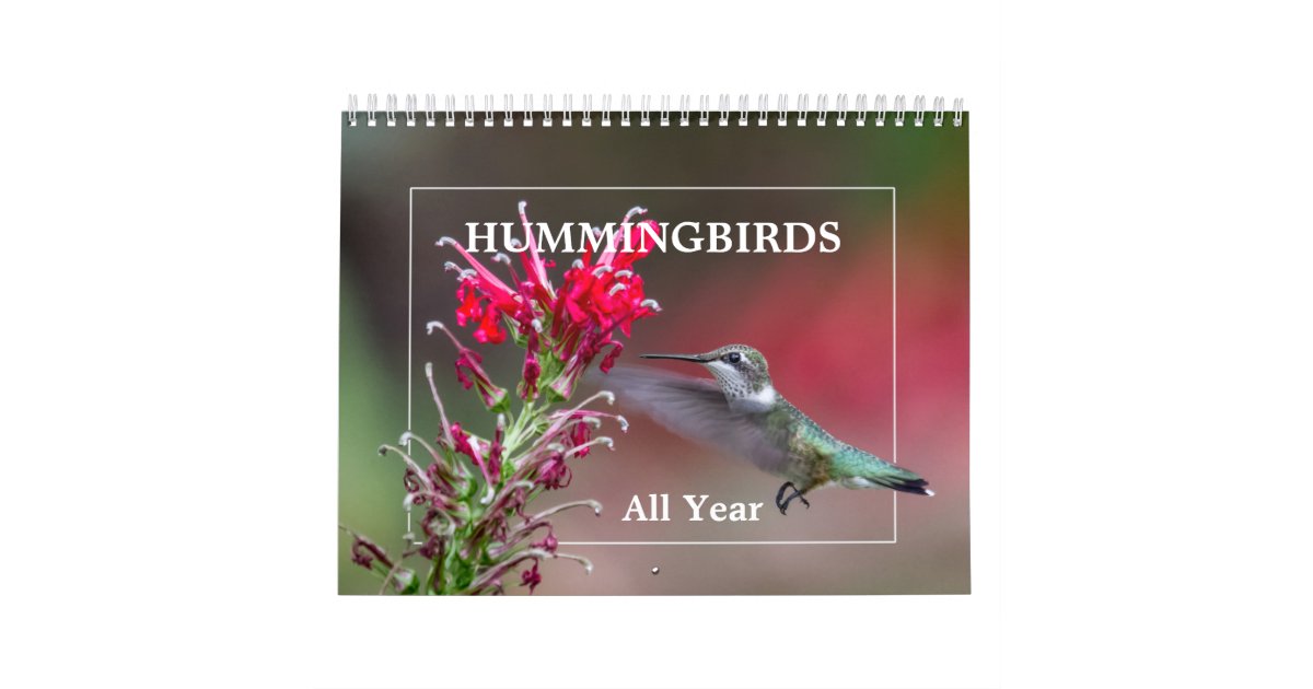 Hummingbirds All Year Calendar | Zazzle