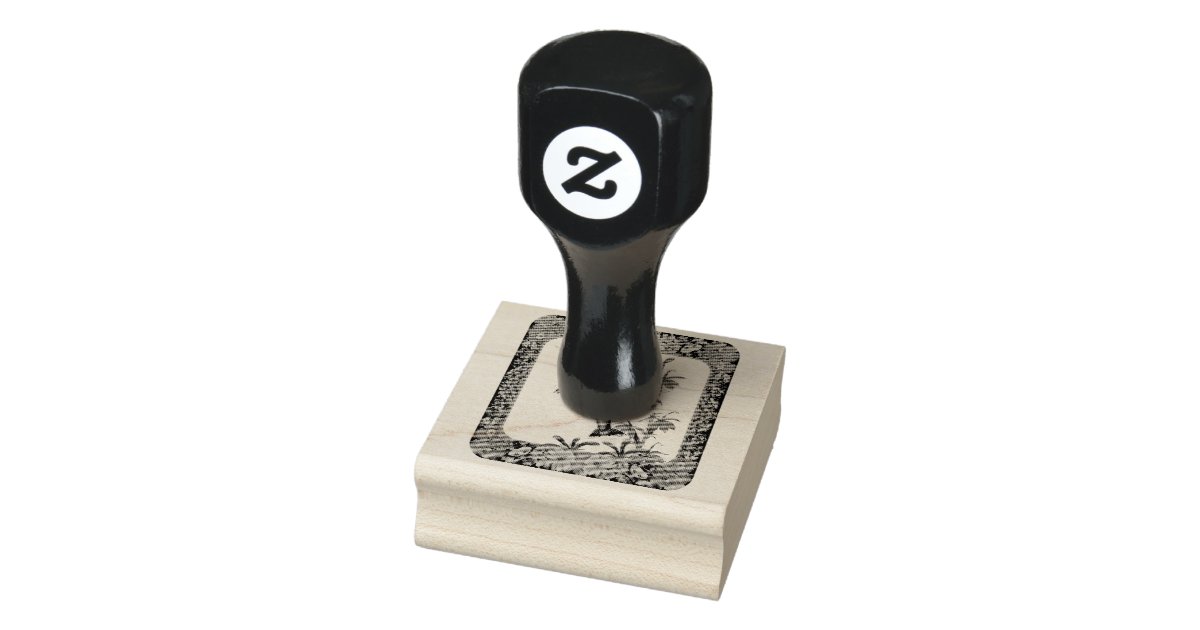Hummingbirds and Flowers #5 Rubber Stamp | Zazzle
