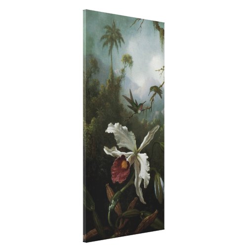Hummingbirds and White Orchid by Martin J. Heade Canvas Print | Zazzle