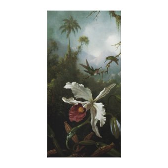 Hummingbirds and White Orchid by Martin J. Heade Canvas Print | Zazzle
