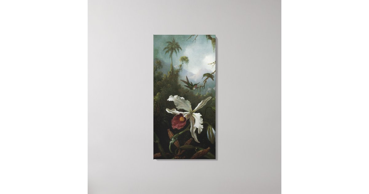Hummingbirds and White Orchid by Martin J. Heade Canvas Print | Zazzle