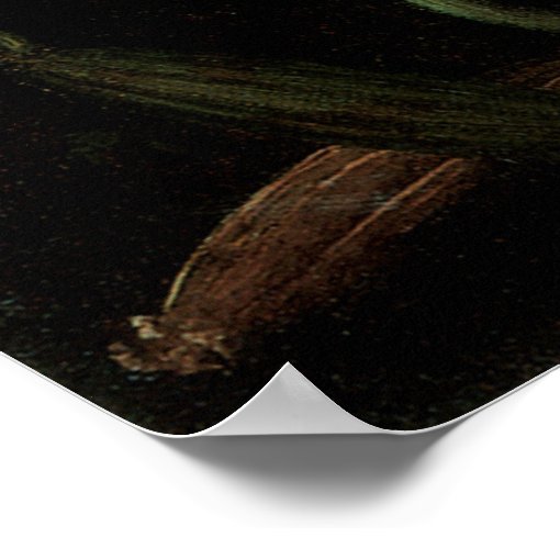 Hummingbirds and White Orchid by Martin J. Heade Poster | Zazzle