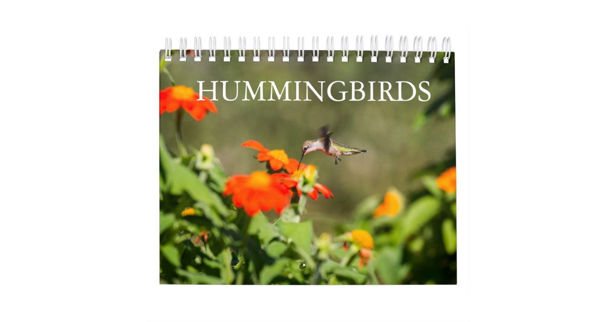 Hummingbirds Calendar | Zazzle