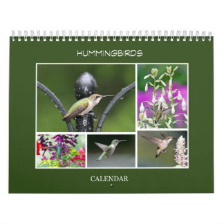 Hummingbird Calendars | Zazzle