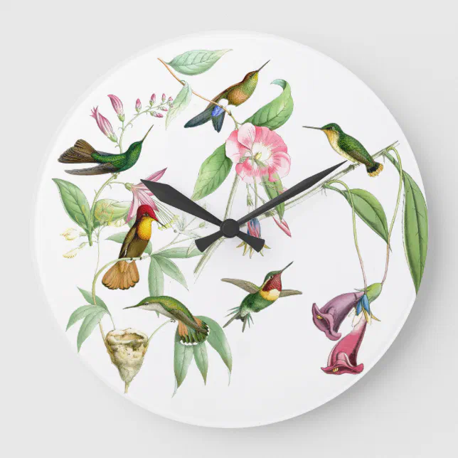 Hummingbirds Flowers Birds Wildlife Animals Floral Large Clock | Zazzle