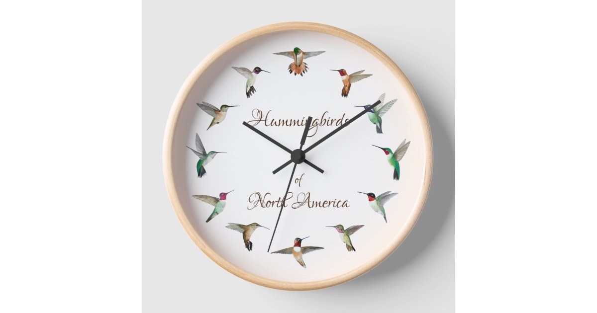 Hummingbirds of North America Clock | Zazzle