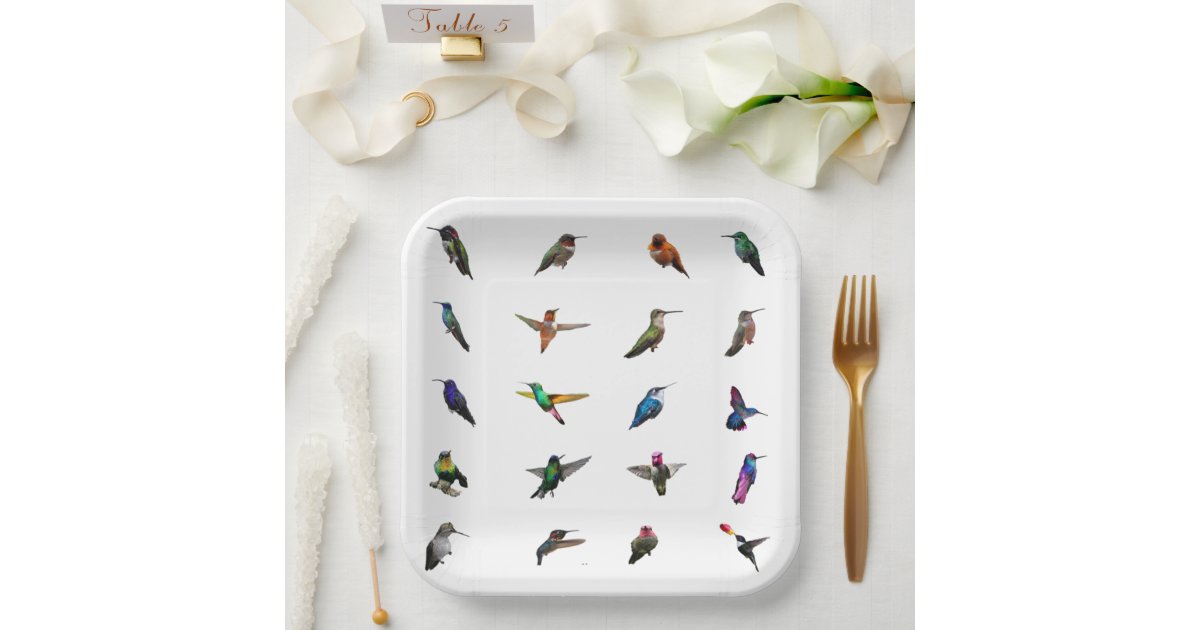 Hummingbirds Plain Background paper plates | Zazzle