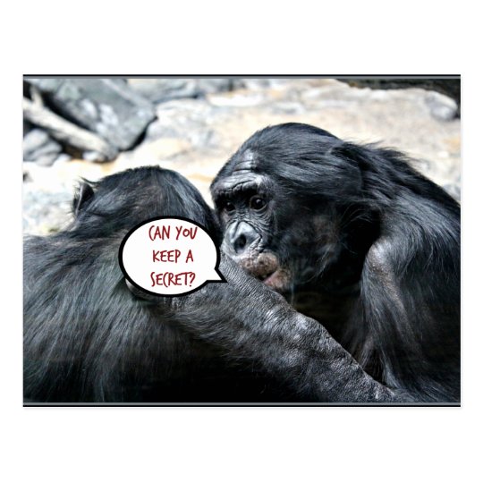 Humor - Can you keep a secret? Postcard | Zazzle.com