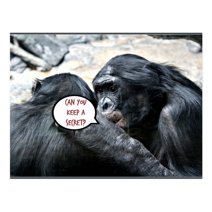 Humor - Can you keep a secret? Postcard | Zazzle.com