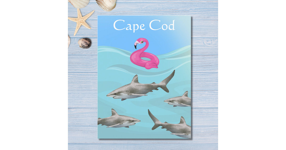 Humorous Cape Cod Great White Shark Beach Postcard | Zazzle