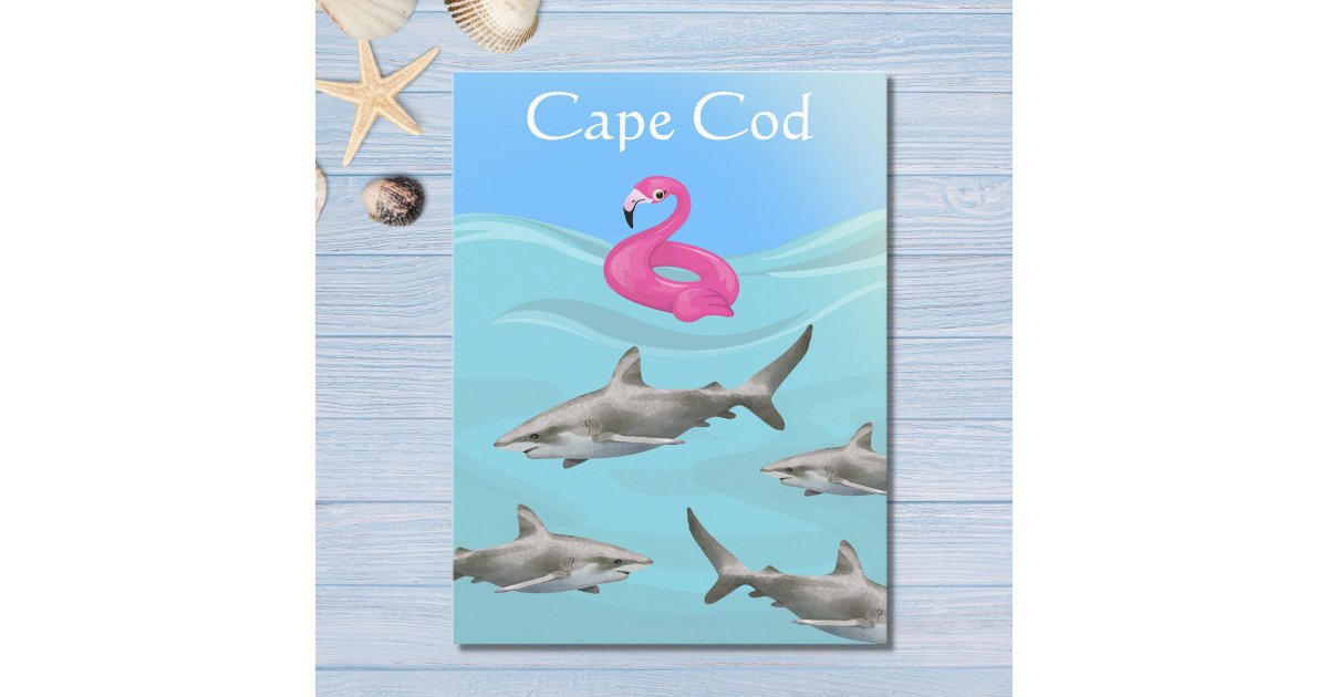 Humorous Cape Cod Great White Shark Beach Postcard | Zazzle