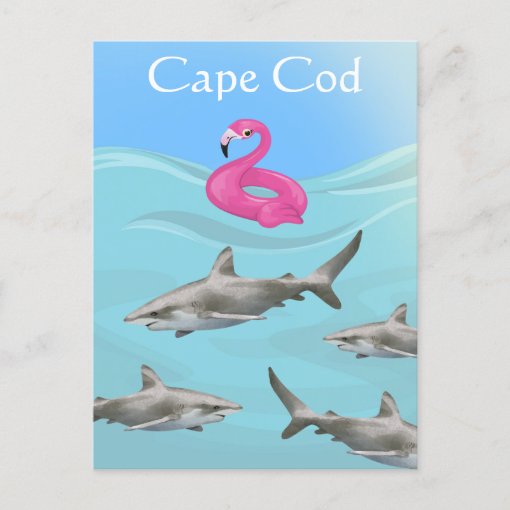 Humorous Cape Cod Great White Shark Beach Postcard | Zazzle